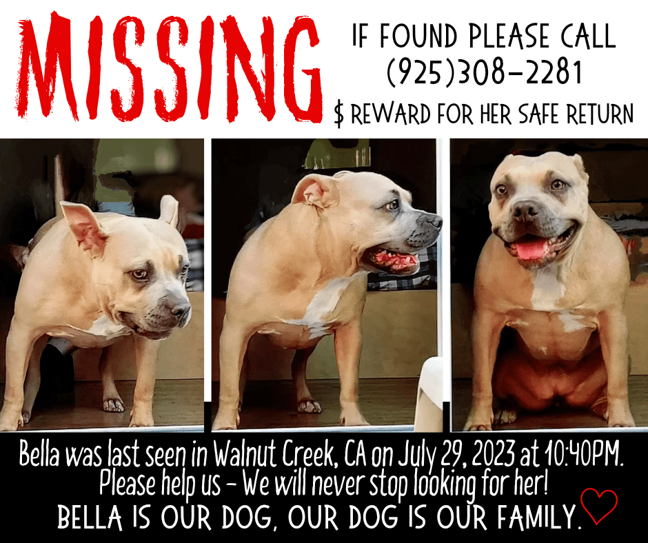 Finding Bella