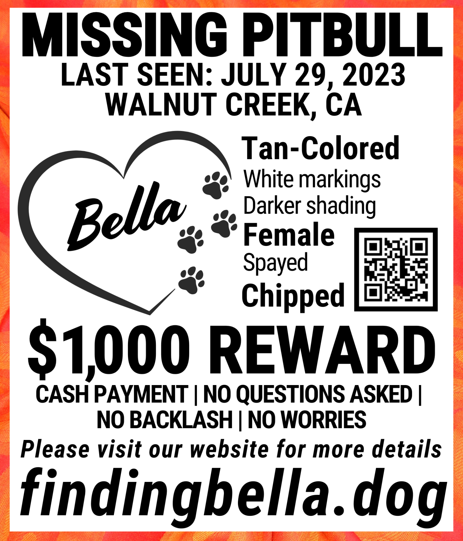 Finding Bella