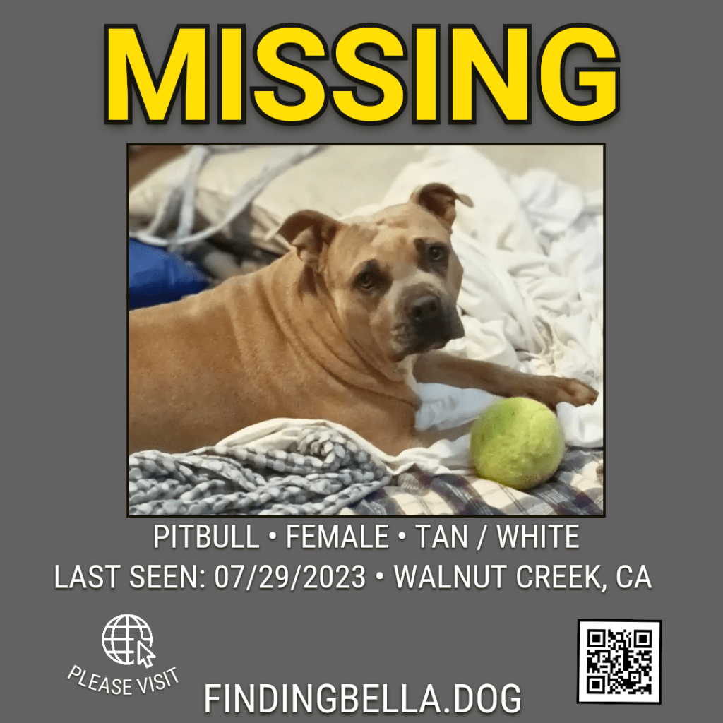 Finding Bella