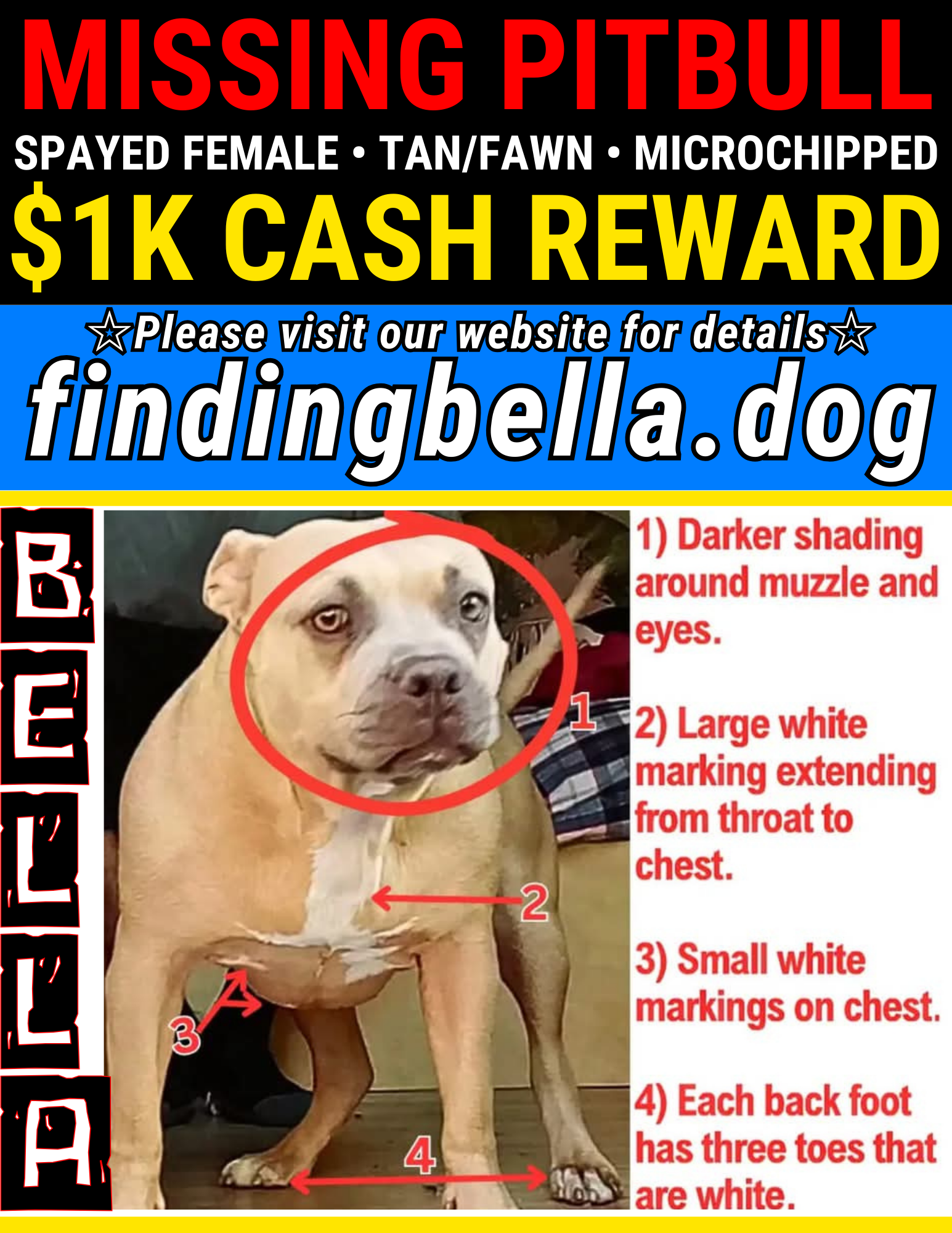 Finding Bella
